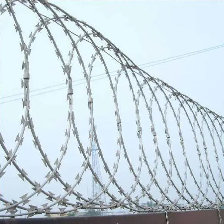 Choosing the Right Single Coil Razor Wire: A Comprehensive Guide ...